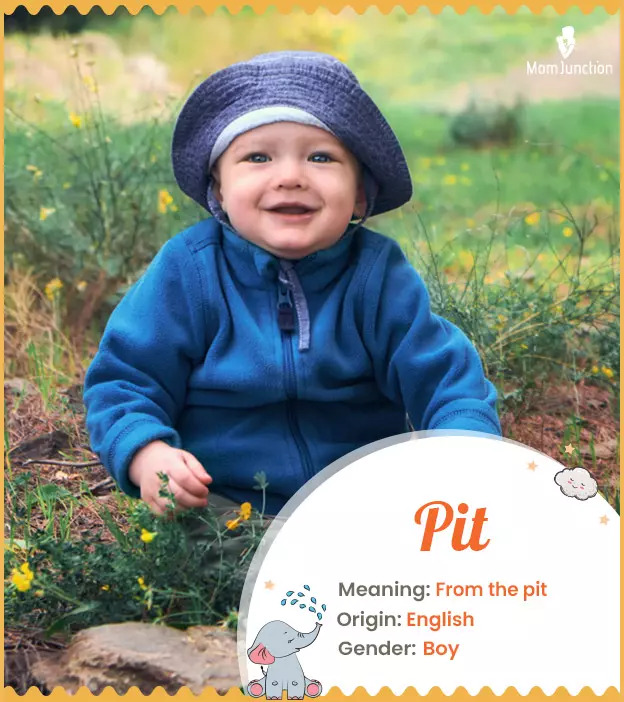 pit: Name Meaning, Origin, History, And Popularity | MomJunction