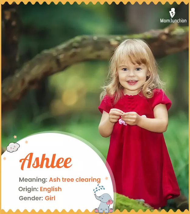 Ashlee Baby Name: Meaning, Origin, Popularity