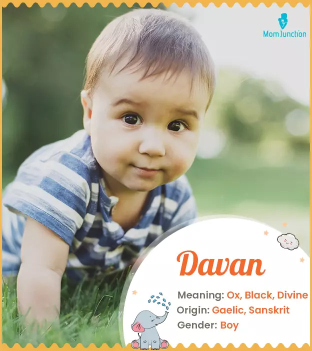 Explore Davan: Meaning, Origin & Popularity