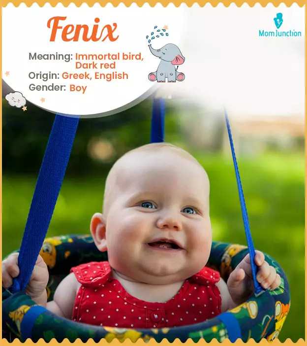 All About Fenix: Meaning, Origin, Popularity & More | MomJunction