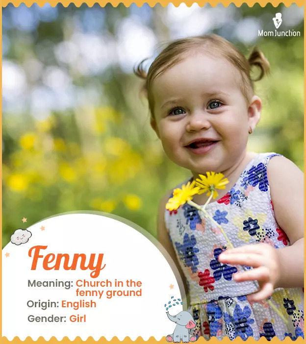Explore Fenny: Meaning, Origin & Popularity