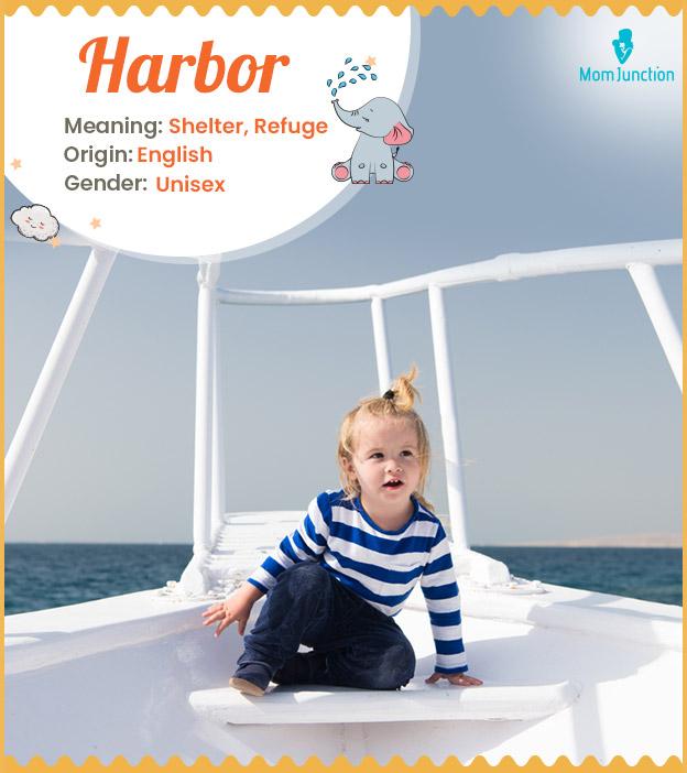 Explore Harbor: Meaning, Origin & Popularity