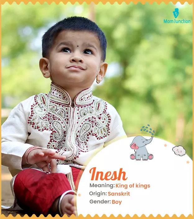 Inesh Name Meaning, Origin, History, And Popularity | MomJunction