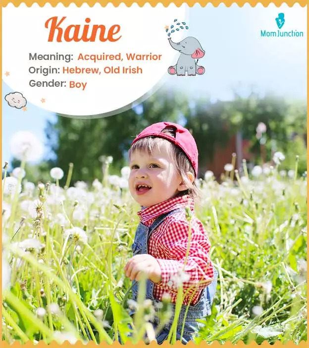 Explore Kaine: Meaning, Origin & Popularity | MomJunction