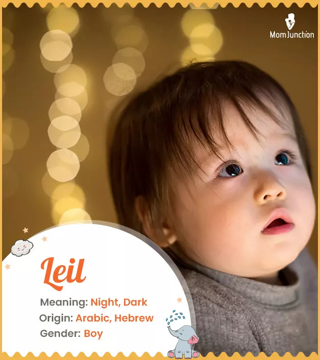 Explore Leil: Meaning, Origin & Popularity