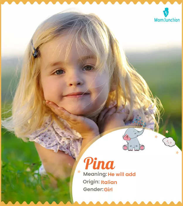 Pina Name Meaning, Origin, History, And Popularity | MomJunction