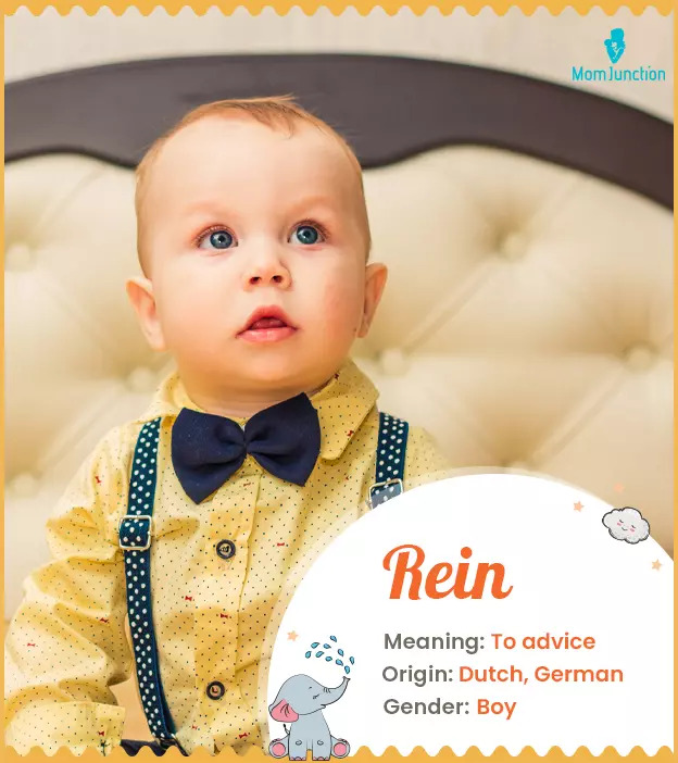 Rein Name Meaning, Origin, History, And Popularity | MomJunction