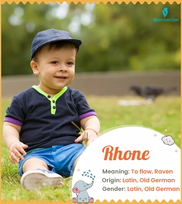 Rhone Name Meaning, Origin, History, And Popularity | MomJunction