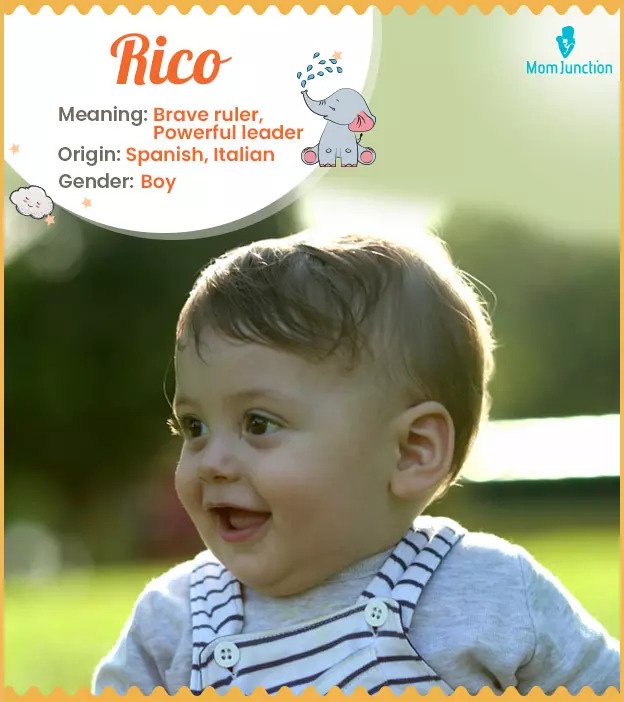 Rico Name Meaning, Origin, History, And Popularity | MomJunction