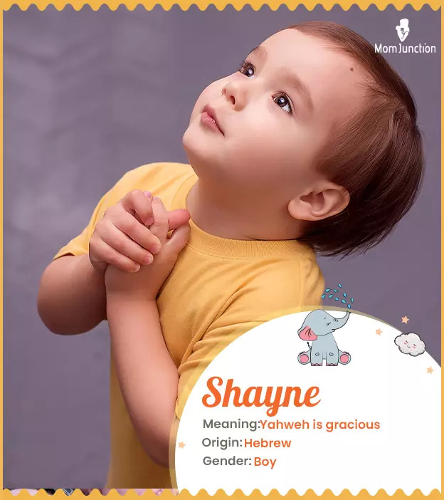 Shayne Name Meaning, Origin, History, And Popularity | MomJunction
