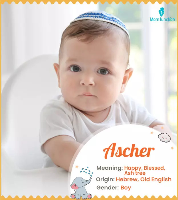 Ascher Baby Name: Meaning, Origin, Popularity | MomJunction