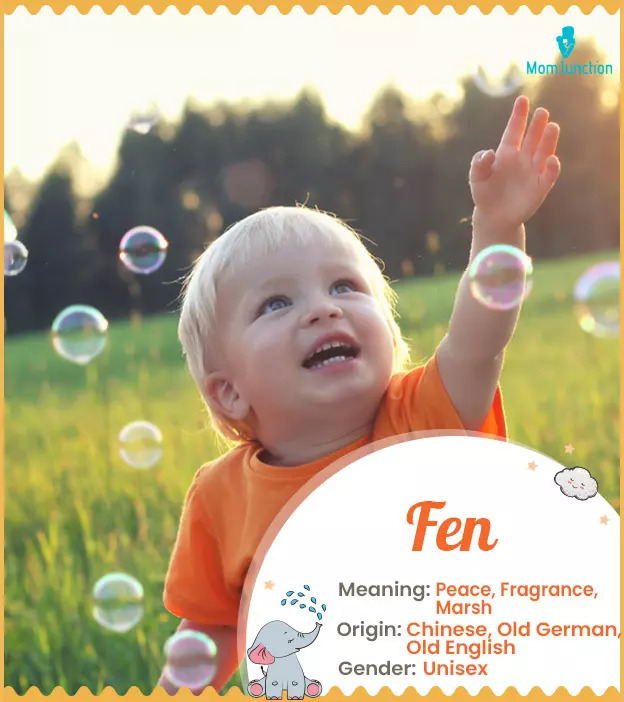 Fen Name Meaning, Origin, History, And Popularity | MomJunction