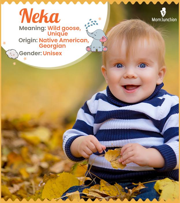 Explore Neka: Meaning, Origin & Popularity