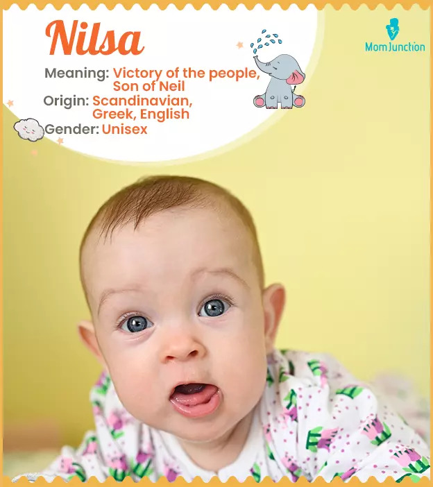 Nilsa Name Meaning, Origin, History, And Popularity | MomJunction
