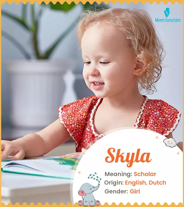 Explore Skyla: Meaning, Origin & Popularity | MomJunction