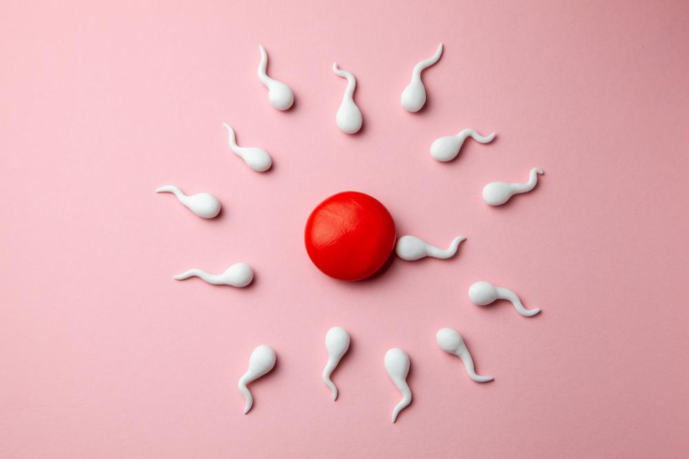 Implantation Calculator - When Does Implantation Bleeding Occur?