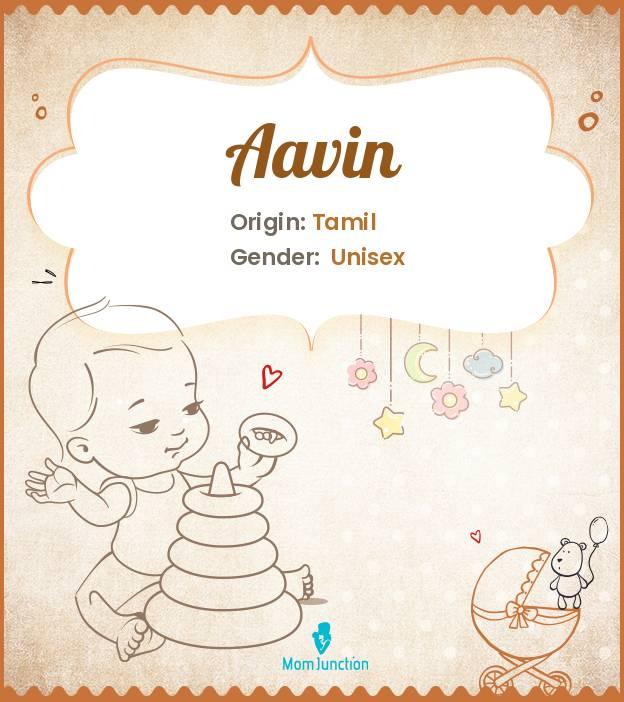 Aavin Baby Name: Meaning, Origin, Popularity