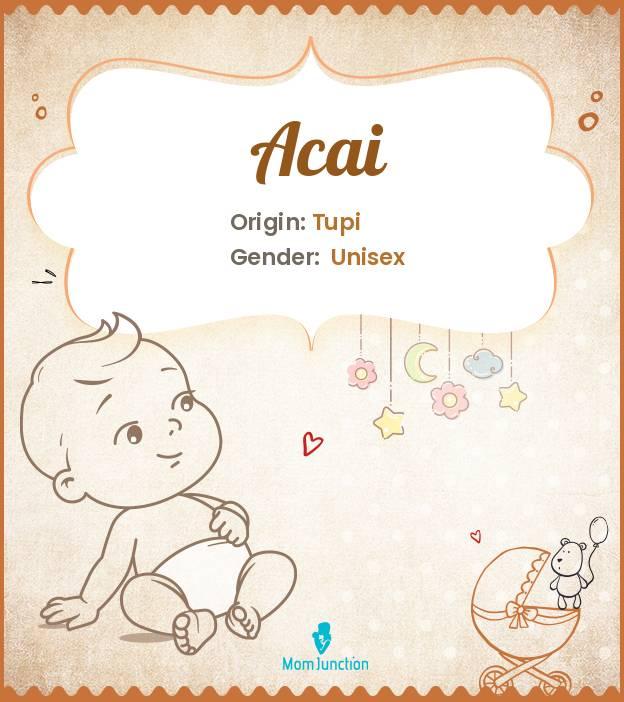 Acai Baby Name: Meaning, Origin, Popularity