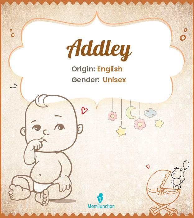 Addley Baby Name: Meaning, Origin, Popularity