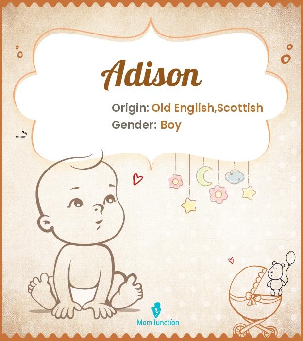 Adison Name Meaning, Origin, History, And Popularity