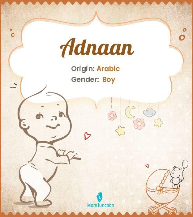 Adnaan Baby Name: Meaning, Origin, Popularity