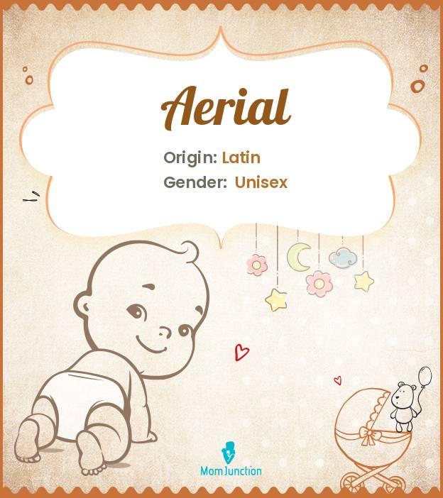 Aerial Baby Name: Meaning, Origin, Popularity