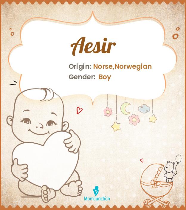 Aesir Baby Name: Meaning, Origin, Popularity