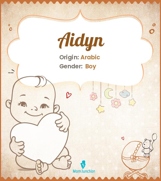 Aidyn Name Meaning, Origin, History, And Popularity