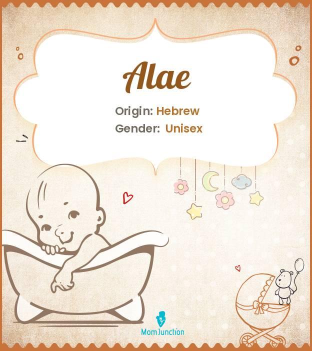 Alae Baby Name: Meaning, Origin, Popularity