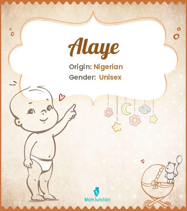 Alaye Baby Name: Meaning, Origin, Popularity