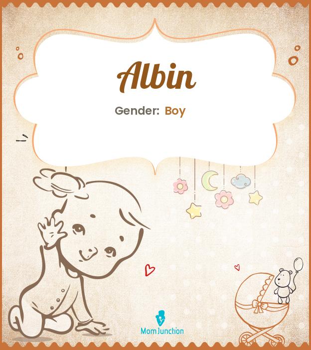 Albin Baby Name: Meaning, Origin, Popularity