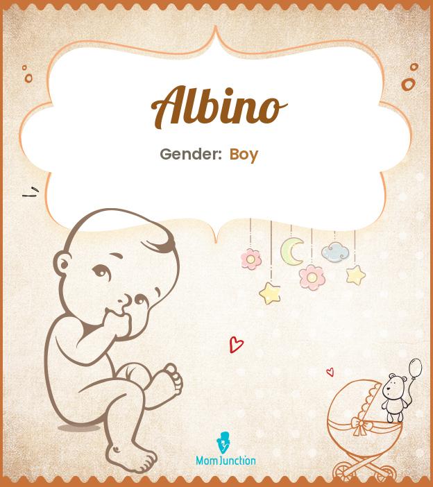Albino Baby Name: Meaning, Origin, Popularity
