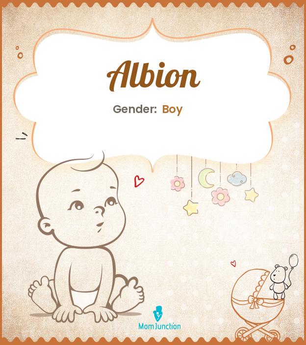 Albion Baby Name: Meaning, Origin, Popularity