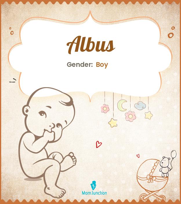 Albus Name Meaning, Origin, History, And Popularity