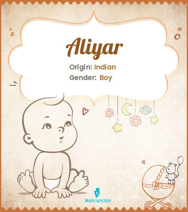 Aliyar Baby Name: Meaning, Origin, Popularity