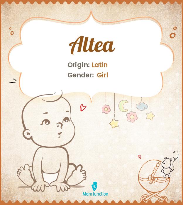 Altea Baby Name: Meaning, Origin, Popularity