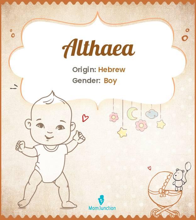 Althaea Baby Name: Meaning, Origin, Popularity