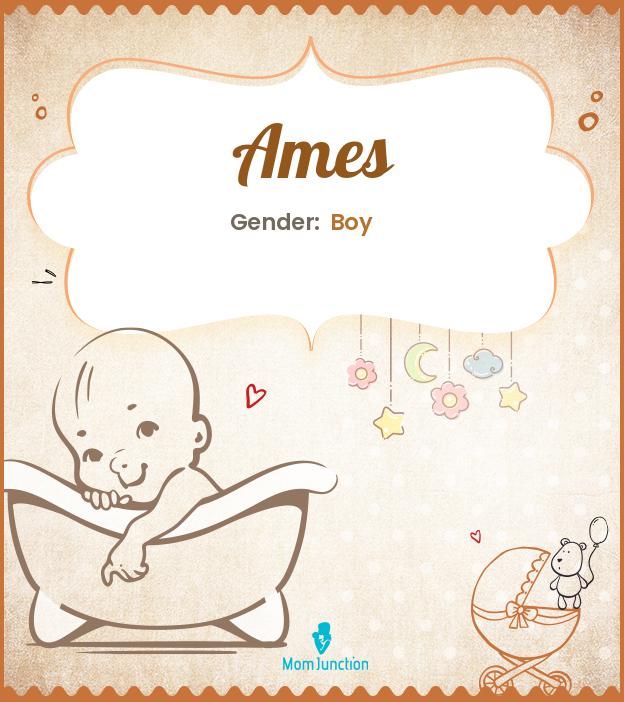 Ames Name Meaning, Origin, History, And Popularity