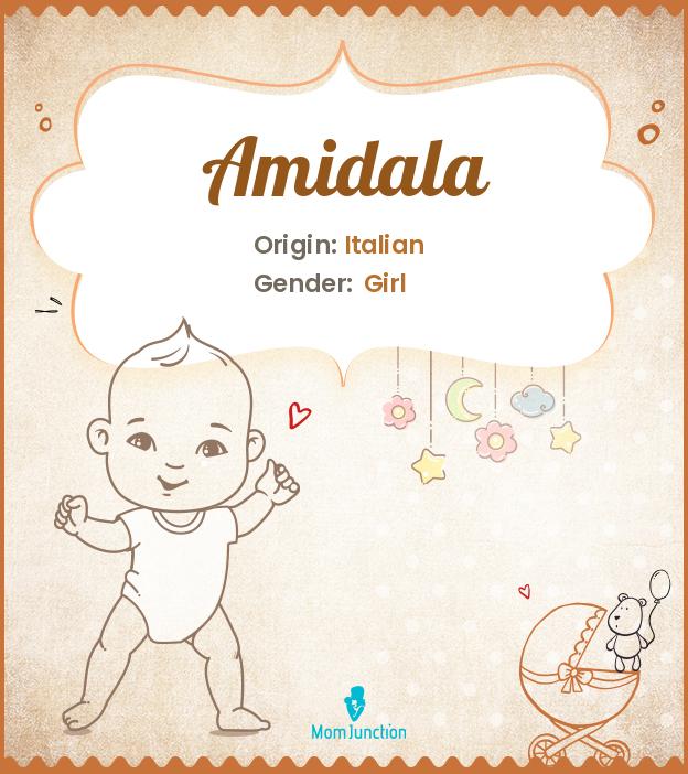 Amidala Baby Name: Meaning, Origin, Popularity