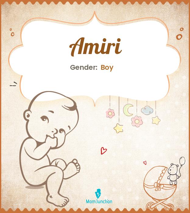 Amiri Name Meaning, Origin, History, And Popularity