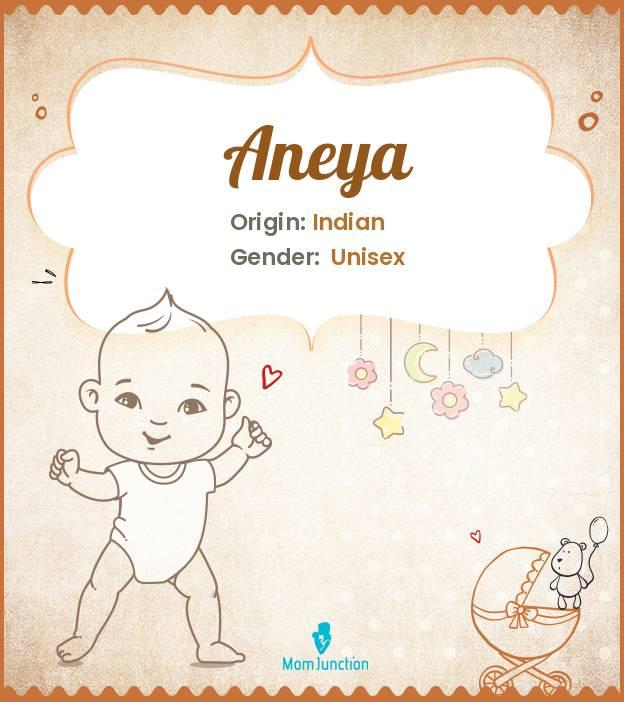 Aneya Baby Name: Meaning, Origin, Popularity