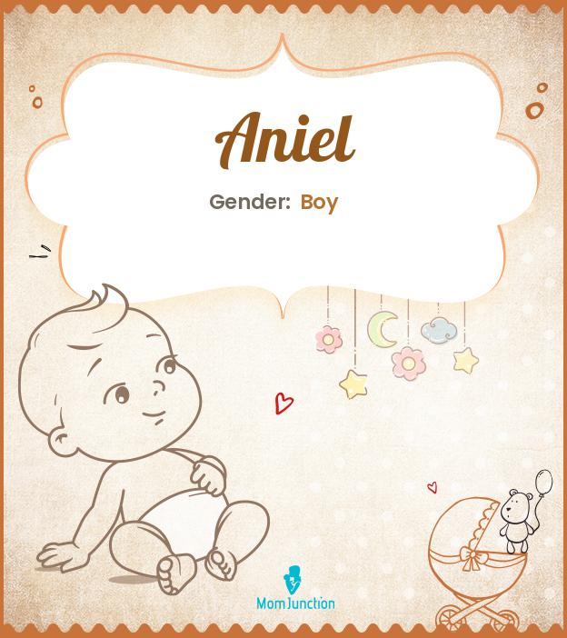 Aniel Baby Name: Meaning, Origin, Popularity