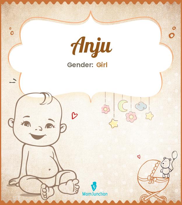 Anju Baby Name: Meaning, Origin, Popularity