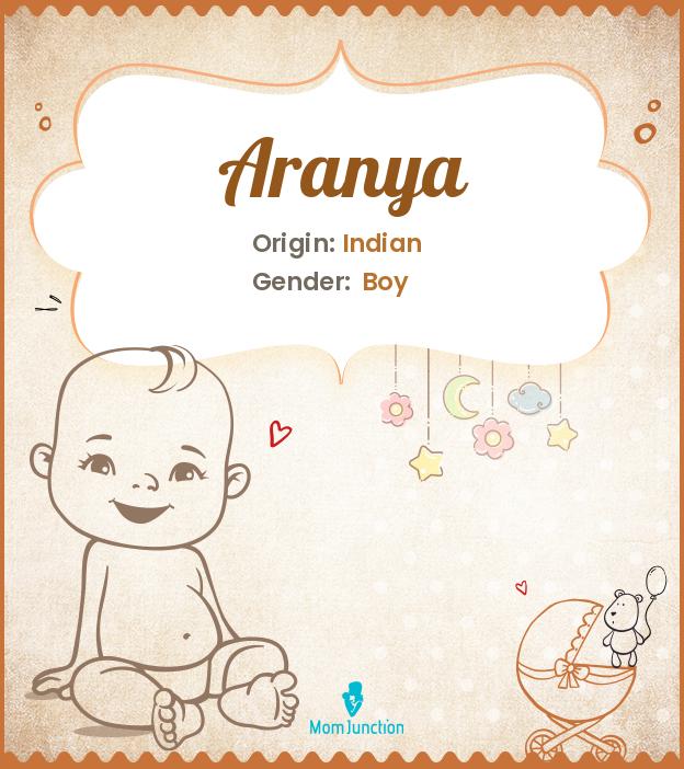 Aranya Baby Name: Meaning, Origin, Popularity