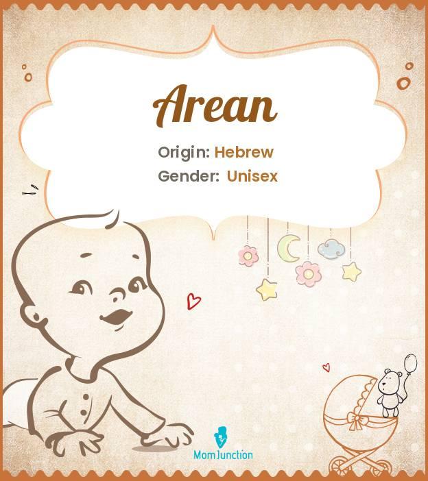 Arean Baby Name: Meaning, Origin, Popularity