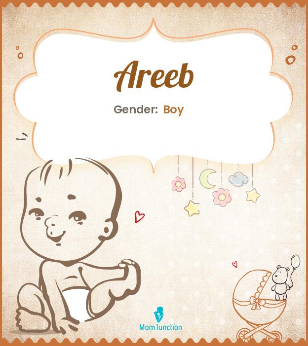 Areeb Baby Name: Meaning, Origin, Popularity