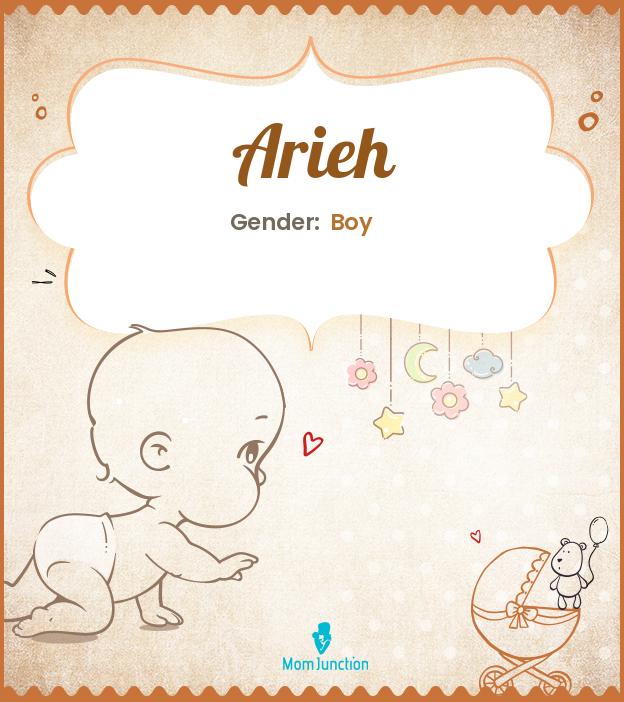 Arieh Baby Name: Meaning, Origin, Popularity