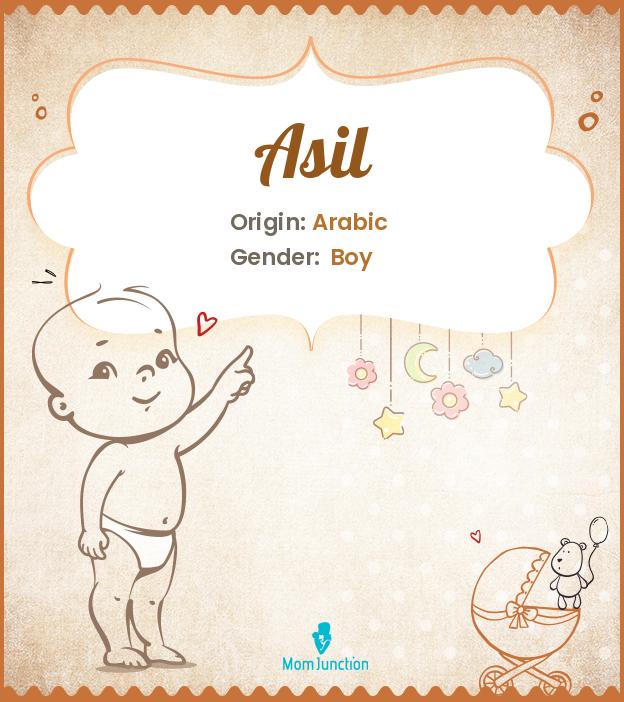 Asil Baby Name: Meaning, Origin, Popularity