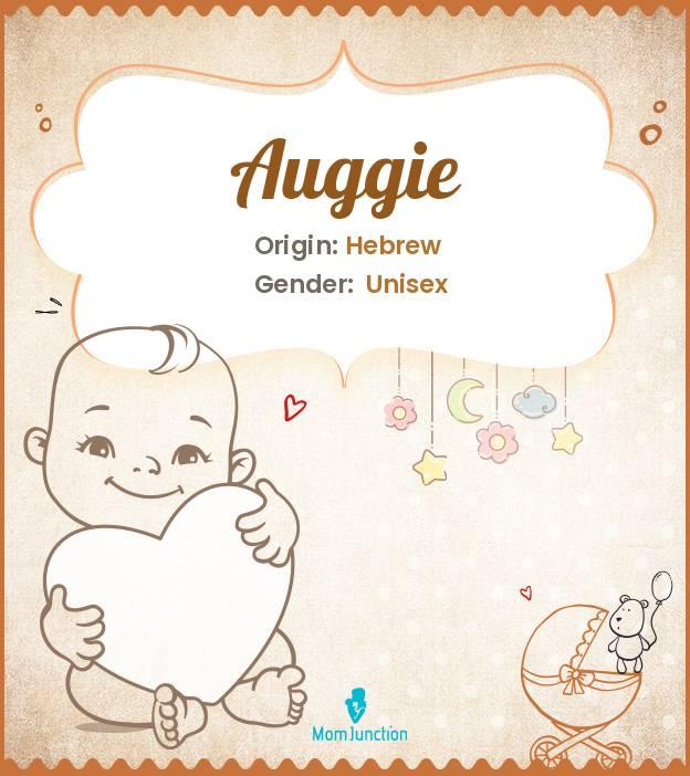Auggie Baby Name: Meaning, Origin, Popularity