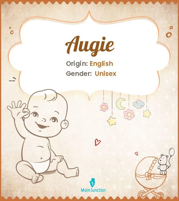 Augie Baby Name: Meaning, Origin, Popularity
